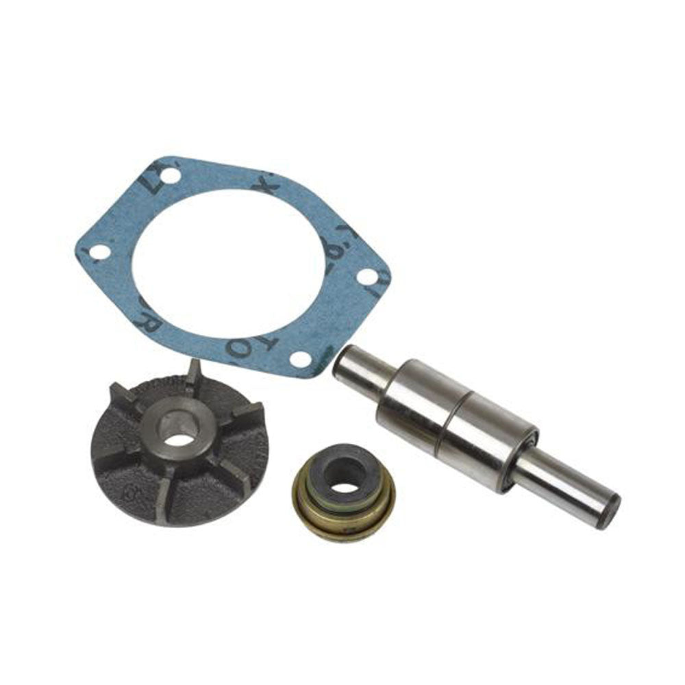 731774M91 Services Pumps Repair Kit Fits Massey Ferguson Tractor Models ...