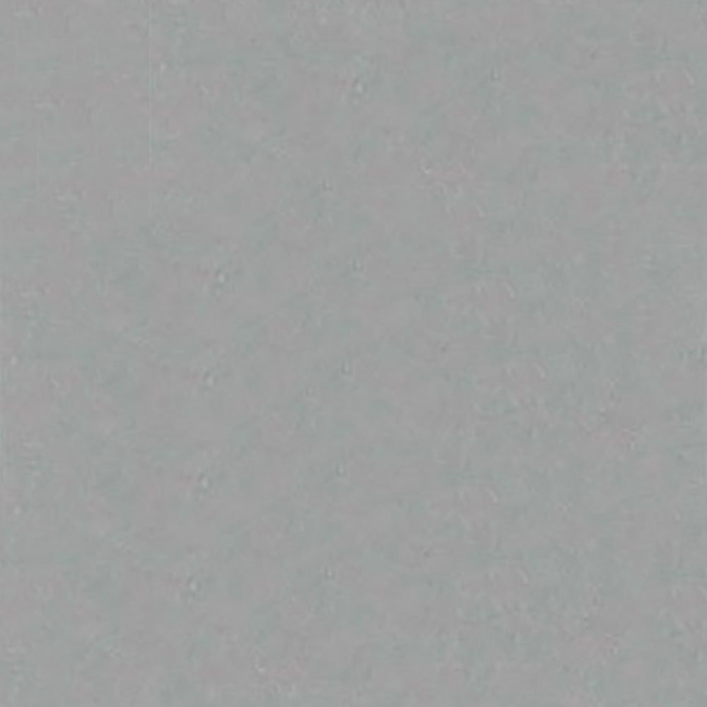 TP750GAL Gallon French Silver Mist Gray Paint Fits Massey Ferguson ...